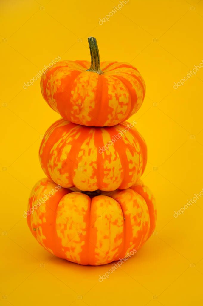 Pirámide de calabaza. Tres calabazas decorativas amarillo-anaranjadas ...