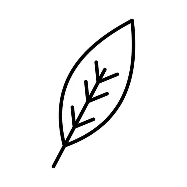 100,000 Leaf shape Vector Images | Depositphotos