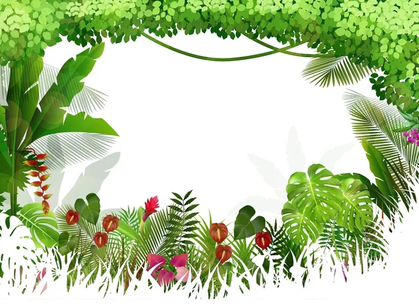 Tropical forest frame Stock Vector Image by ©dagadu #2665207