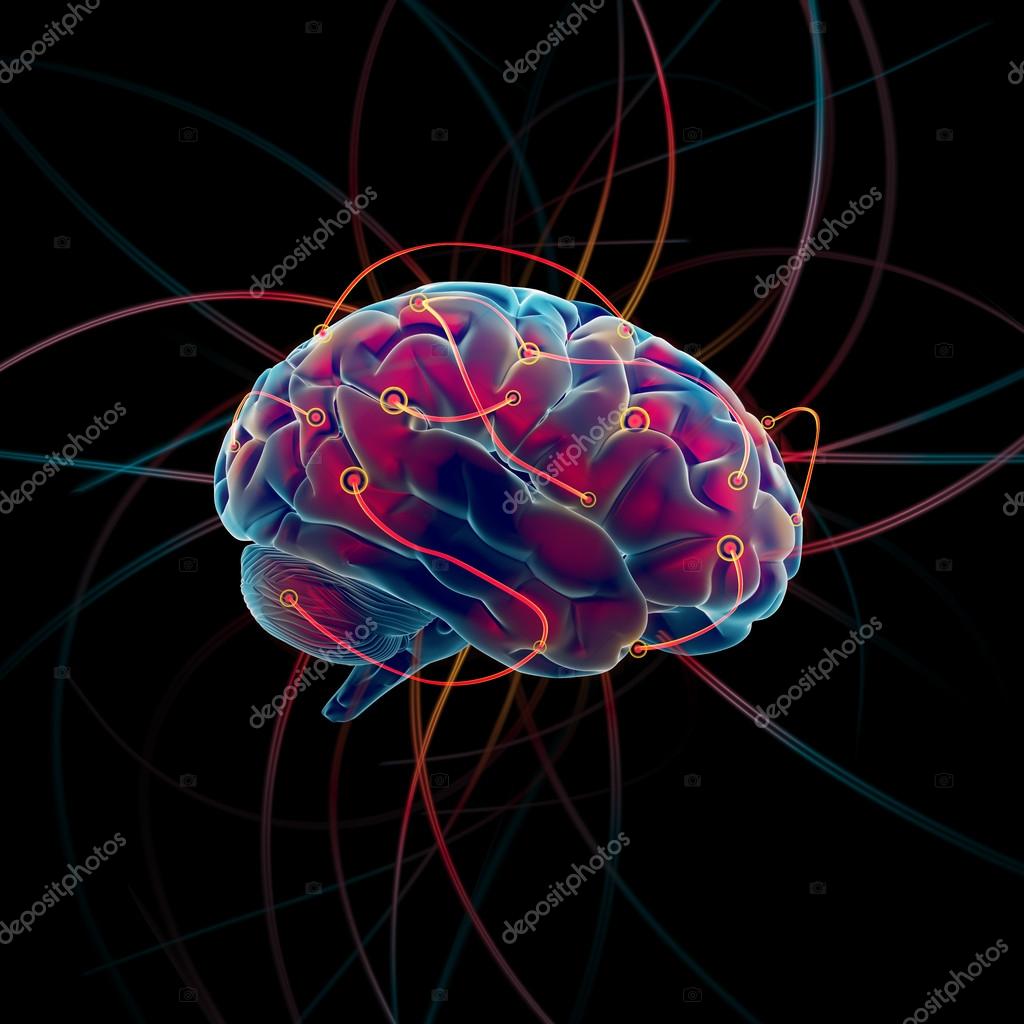 Cerebro pensante: fotografía de stock © XStudio3D #71876465 | Depositphotos