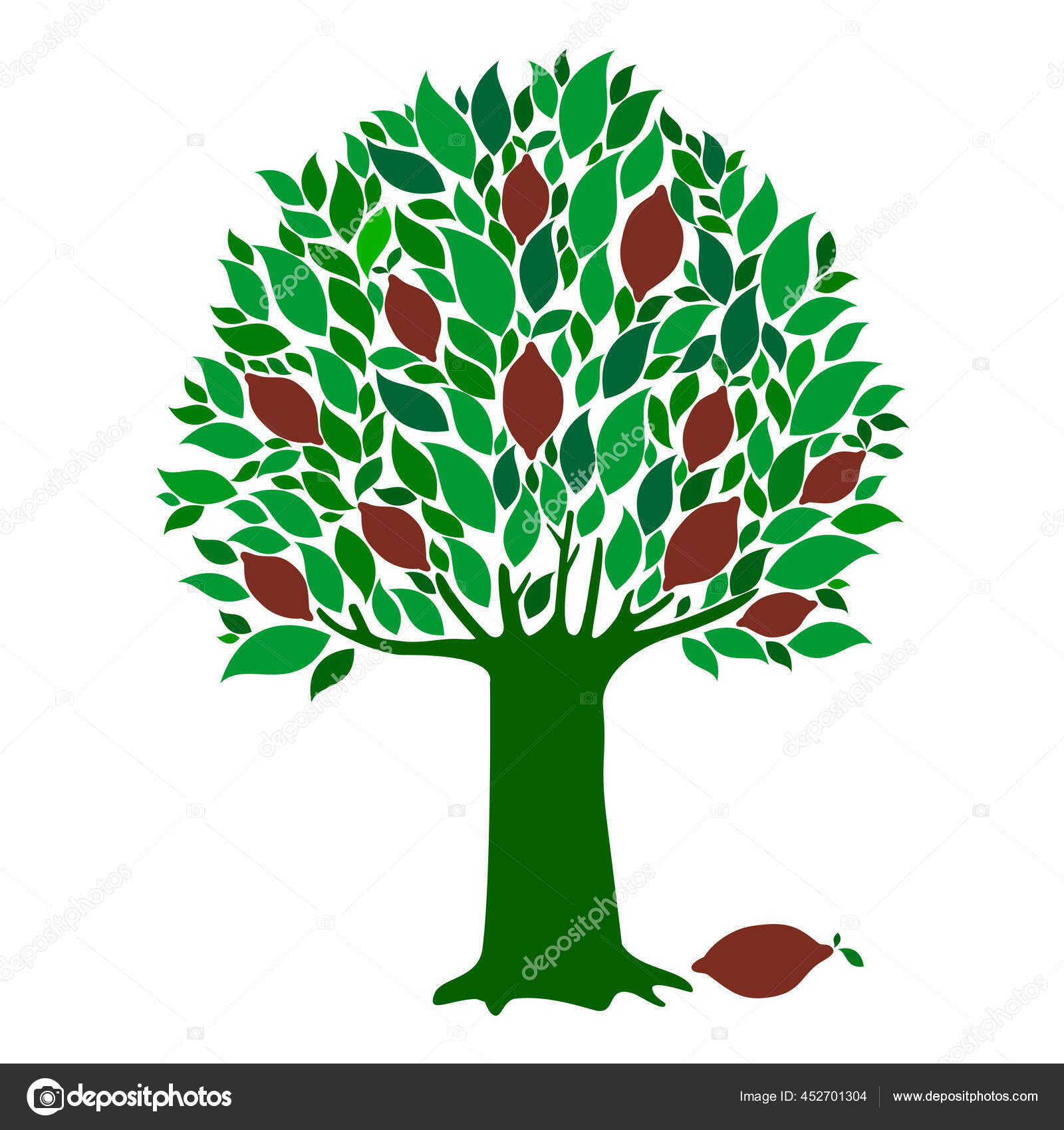 Cacao Tree Isolated White Background Vector Illustration Stock Vector ...