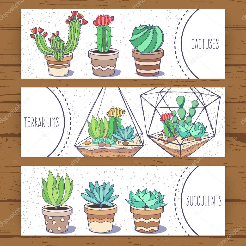 Succulents and cactus banners — Stock Vector © ffffffly #111799766