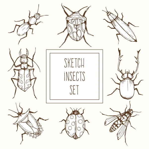 Updated version of vector insects - bugs and invertebrates — Stock ...