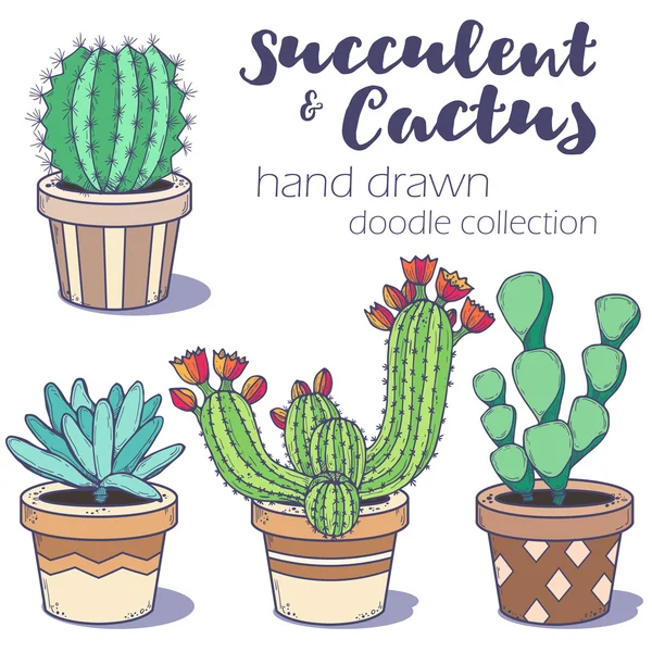 Succulents and cactus banners — Stock Vector © ffffffly #111799766
