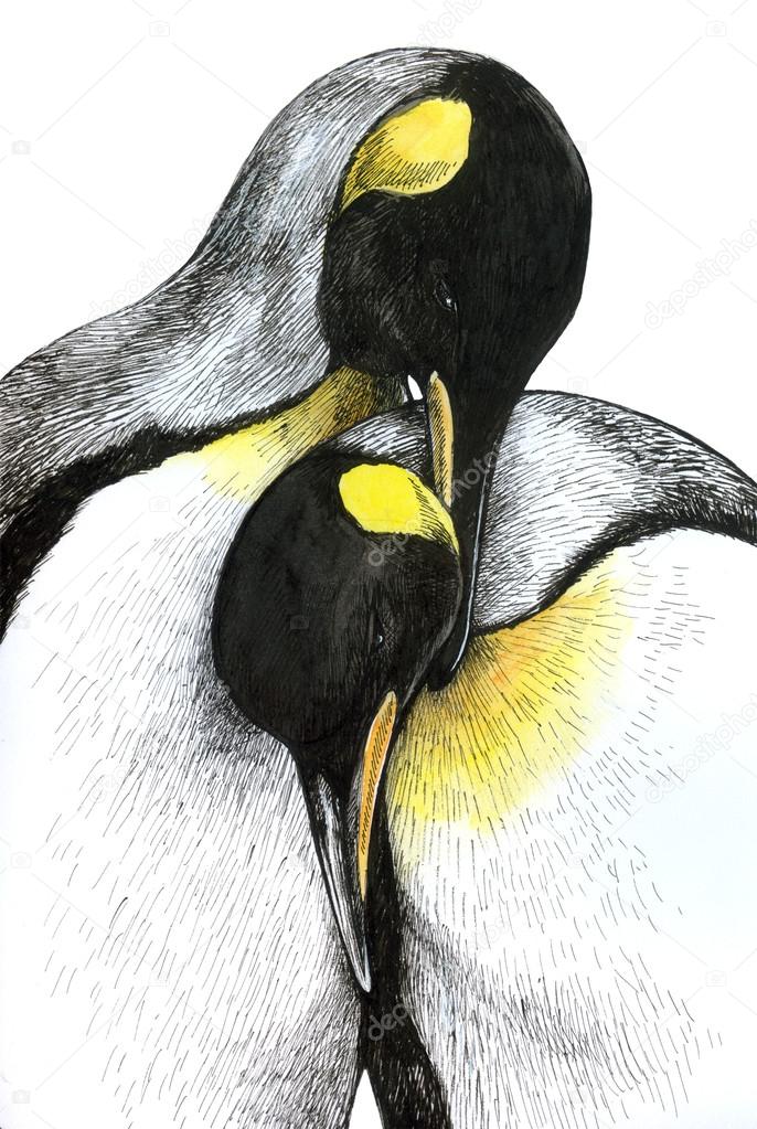 Penguins cuddling; sketch hand drawn — Stock Photo © ffffffly #90100752