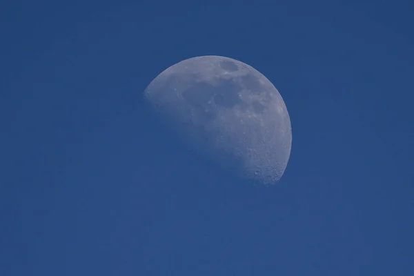 First quarter moon Stock Photos, Royalty Free First quarter moon Images ...