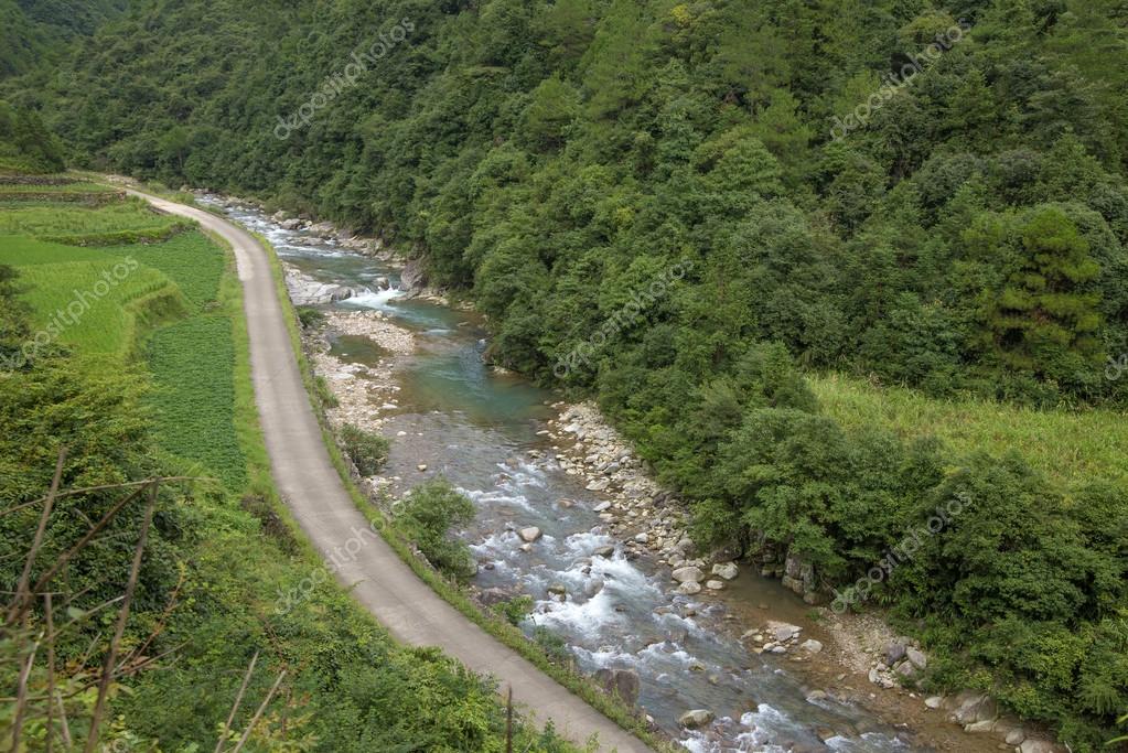 campo verde con bosque y r o 2024