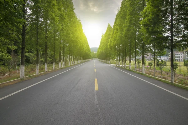 Trees highway road Stock Photos, Royalty Free Trees highway road Images ...