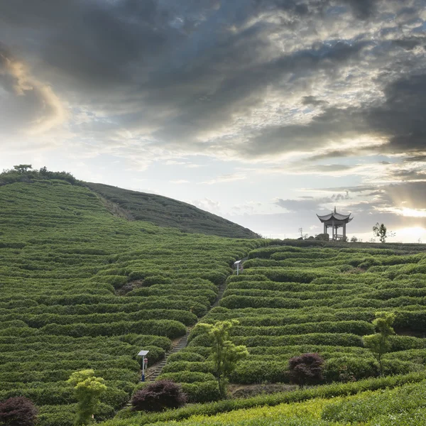 Chinese tea mountains and the Chinese Pavilion - Stock Image - Everypixel