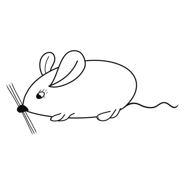 100,000 Mouse drawing Vector Images | Depositphotos