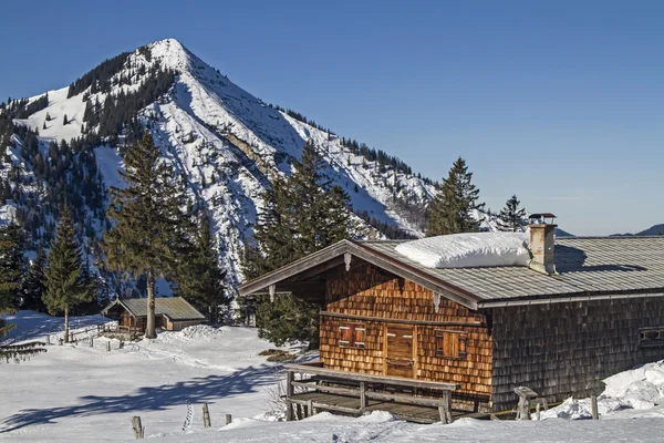 Wallberg Stock Photos, Royalty Free Wallberg Images | Depositphotos