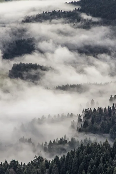 Inversion layer Stock Photos, Royalty Free Inversion layer Images ...