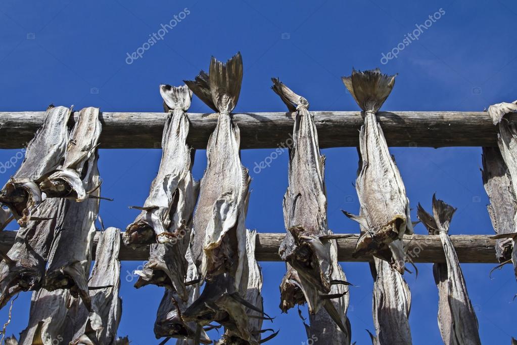 Stockfish on racks — Stock Photo © Tinieder #73229479