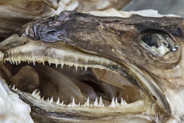 Tête de poisson séchée images libres de droit, photos de Tête de ...