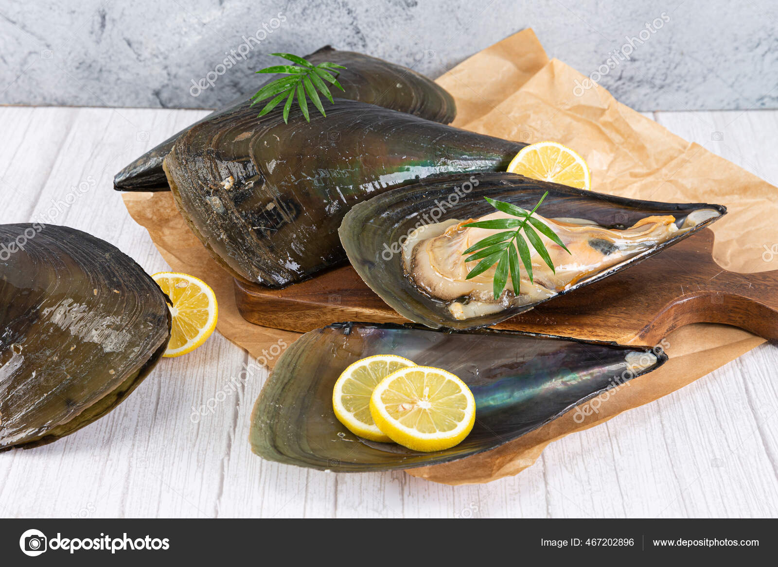 Pen Shell Table Stock Photo by ©submission@bbtree.co.kr 467202896