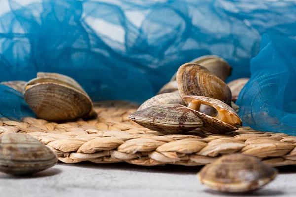 Salted Manila Clam White Background — Stock Photo © submission@bbtree ...