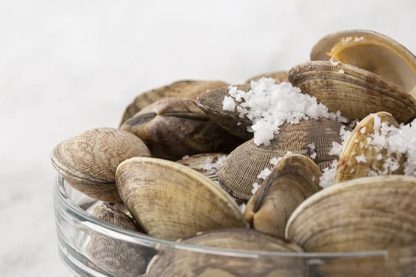 Salted Manila Clam White Background — Stock Photo © submission@bbtree ...