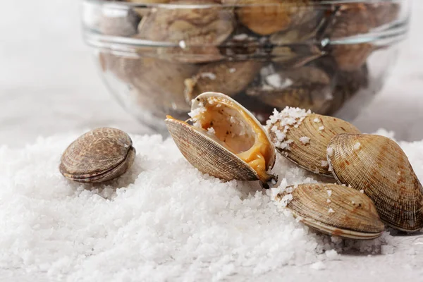 Salted Manila Clam White Background — Stock Photo © submission@bbtree ...