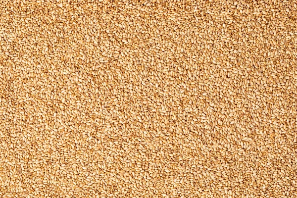 Black Sesame Texture Background Stock Photo by ©submission@bbtree.co.kr ...