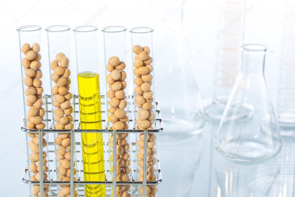 Soybean genetically modified, Plant Cell Stock Photo by ©primagefactory ...