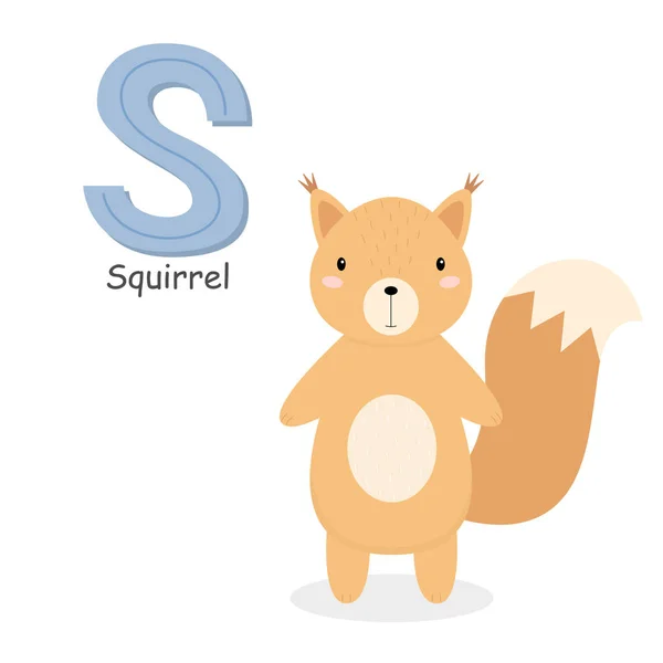 Mókus rajz Stock vektorok, Mókus rajz Jogdíjmentes illusztrációk ...