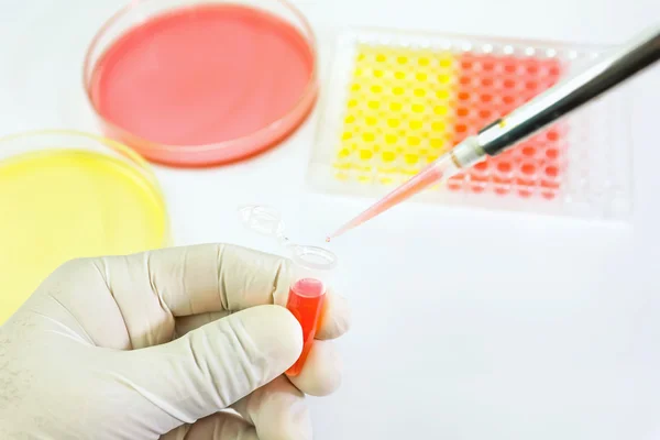 drop red solution in micro tube test lab - Stock Image - Everypixel