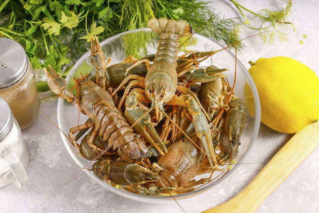 Prepare todos los ingredientes necesarios para hacer Raki con limón ...