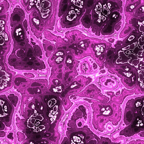 Connective tissue Stock Photos, Royalty Free Connective tissue Images ...