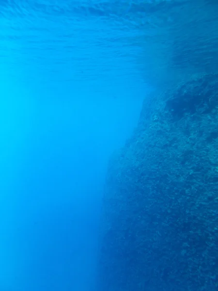 Underwater partition Stock Photos, Royalty Free Underwater partition ...