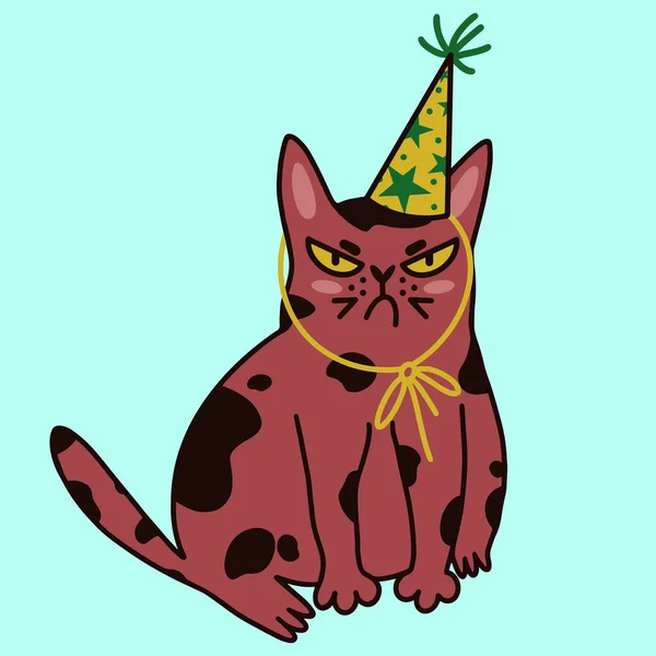 Angry Cats In Birthday Hats