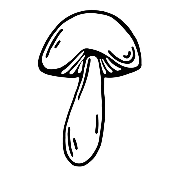 20,365,594 Shrooms symbol Vector Images | Depositphotos