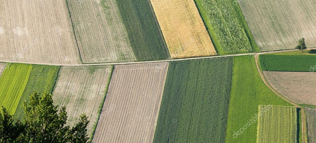 Freshly plowed and sowed farming land from above — Stock Photo ...