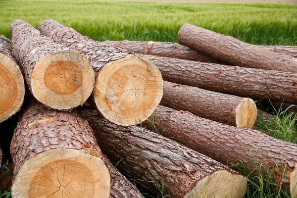 Hout middelen Stock Photos, Royalty Free Hout middelen Images ...