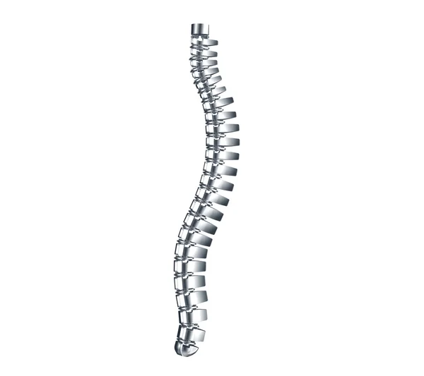 Human Spine isolated on white background — Stock Photo © ingridat #64867233