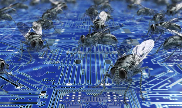 Computer Bug Images - Search Images on Everypixel