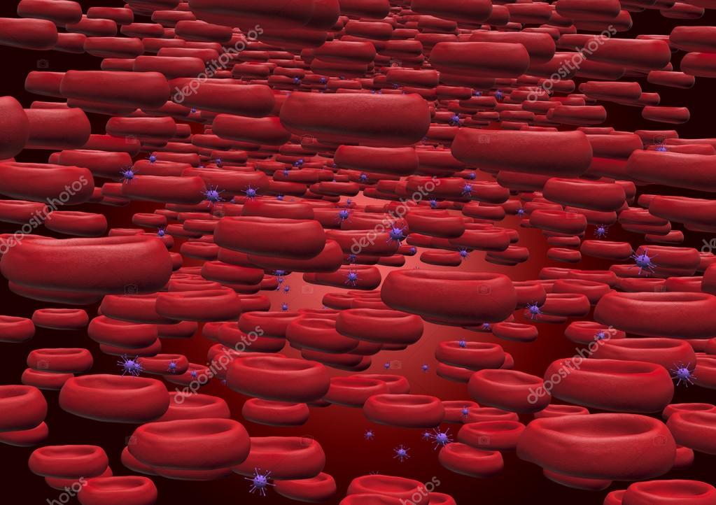 Red bloodcells flowing throw an artery — Stock Photo © the_lightwriter ...