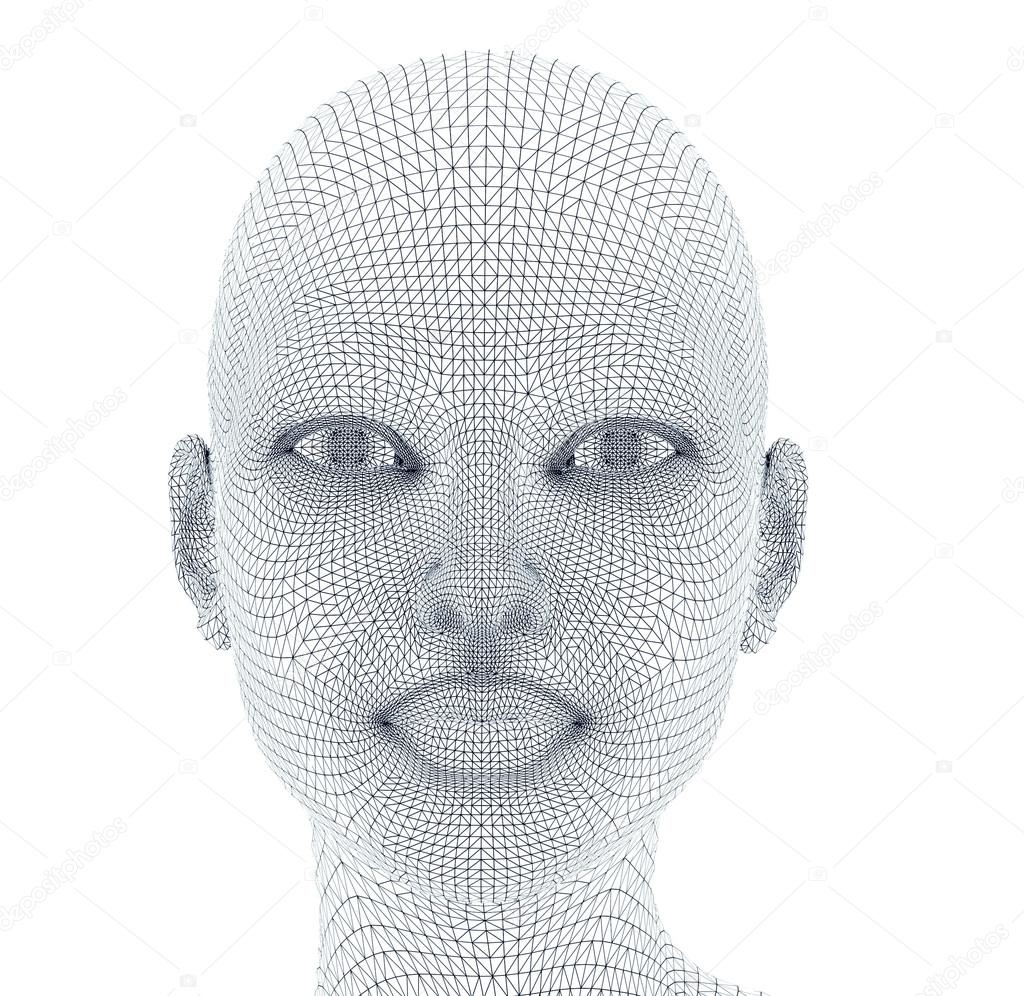 Wireframe Face
