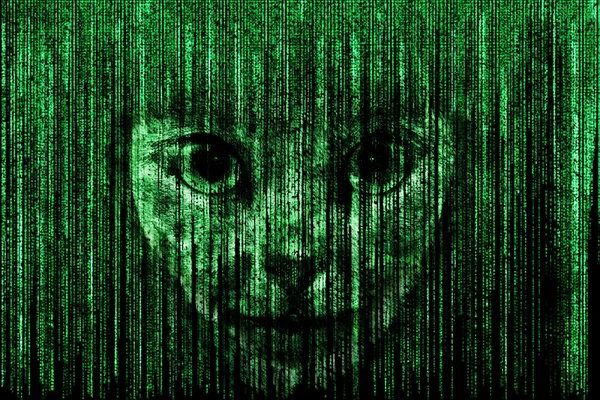 Matrix face - Stock Image - Everypixel