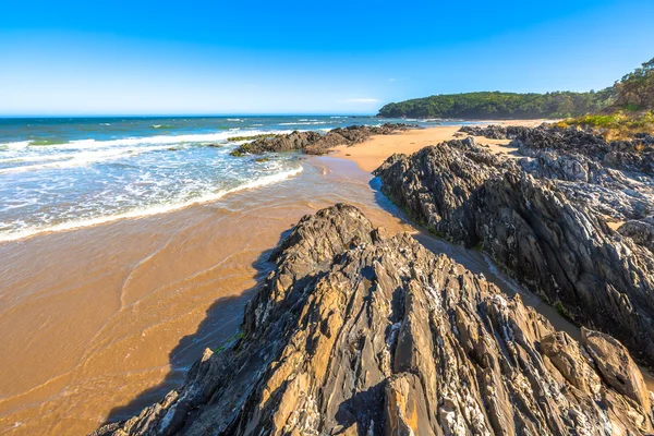 Marlo in victoria Stock Photos, Royalty Free Marlo in victoria Images ...