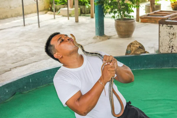 43 Trainer of snakes Stock Photos, Trainer of snakes Images ...