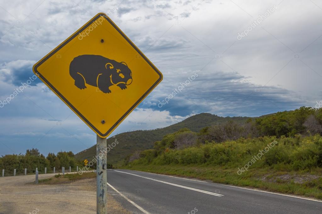 Wombat Crossing Stock Photo by ©bennymarty 78699082