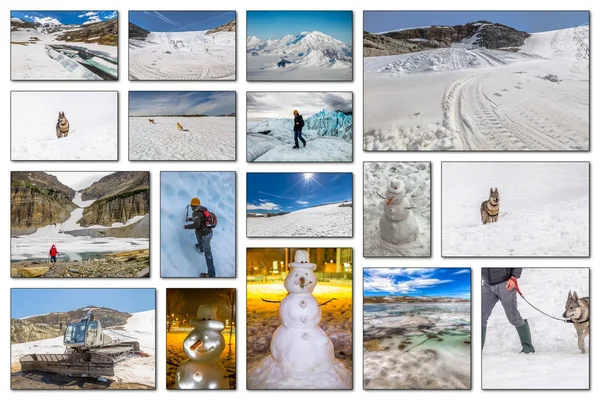 Namibia pictures collage — Stock Photo © bennymarty #91775954