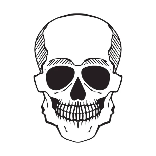 Barevná Lebka Pro Den Smrti Vektorová Ilustrace Stock Vector od ...