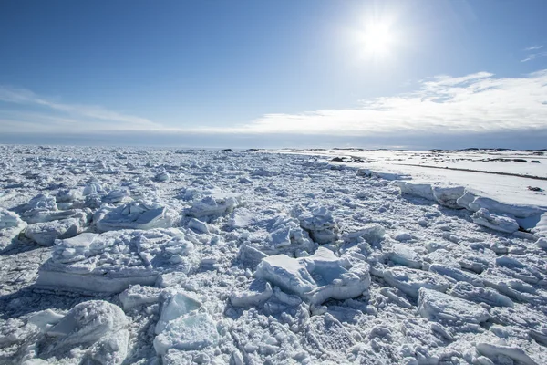 Arctic spring in south Spitsbergen - Stock Image - Everypixel