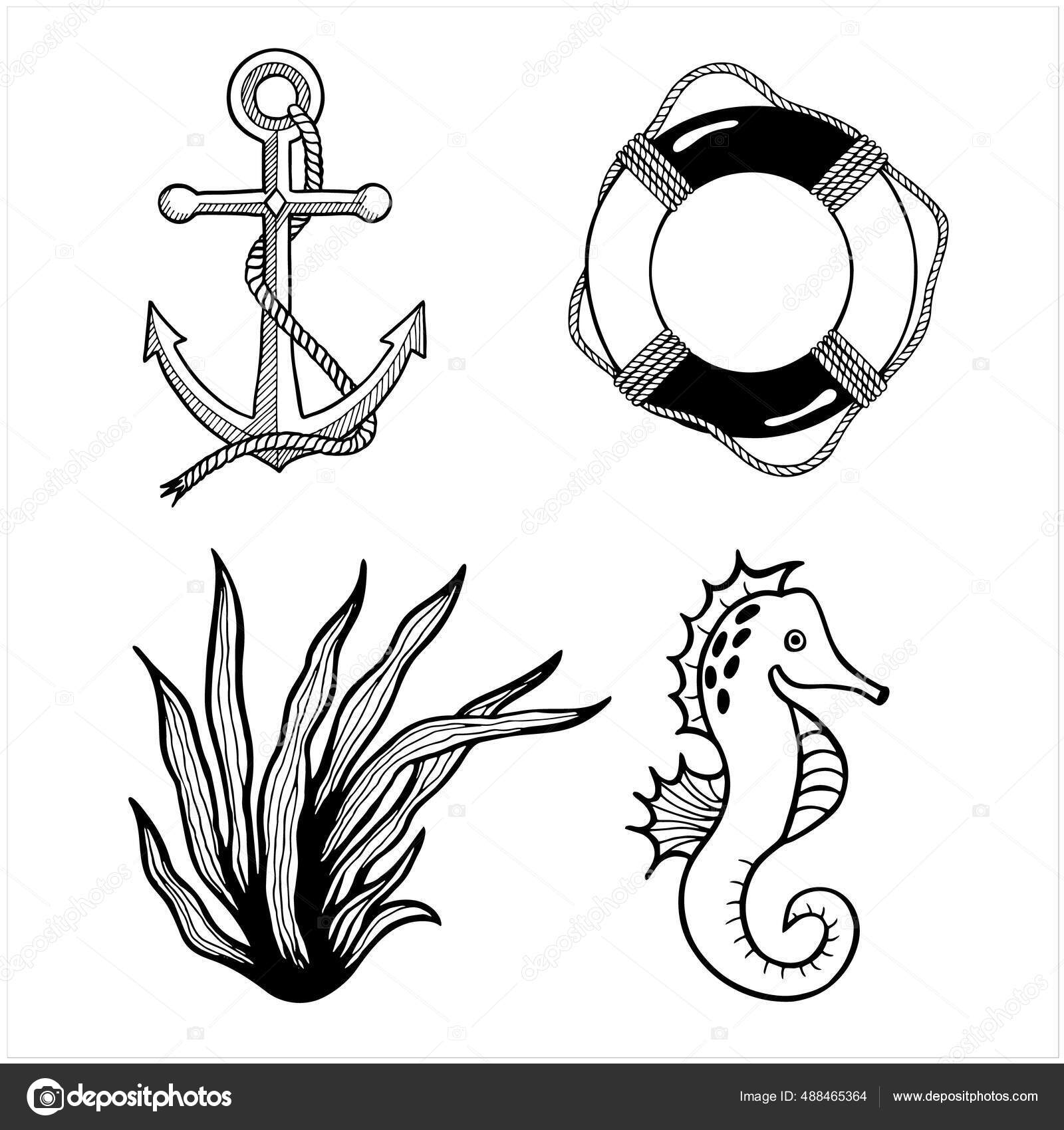 Conjunto Ilustración Vectorial Dibujada Mano Blanco Negro Clipart ...