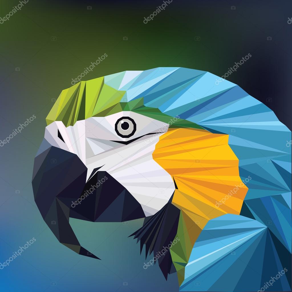 Polygon macaw parrot head — Stock Vector © DianaHlevnjak #72568899 Polygon macaw parrot head — Stock Vector © DianaHlevnjak #72568899