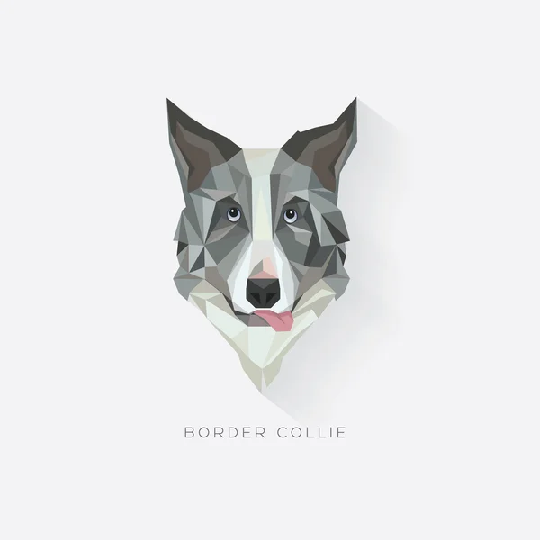 Border collie vector Vector Art Stock Images | Depositphotos