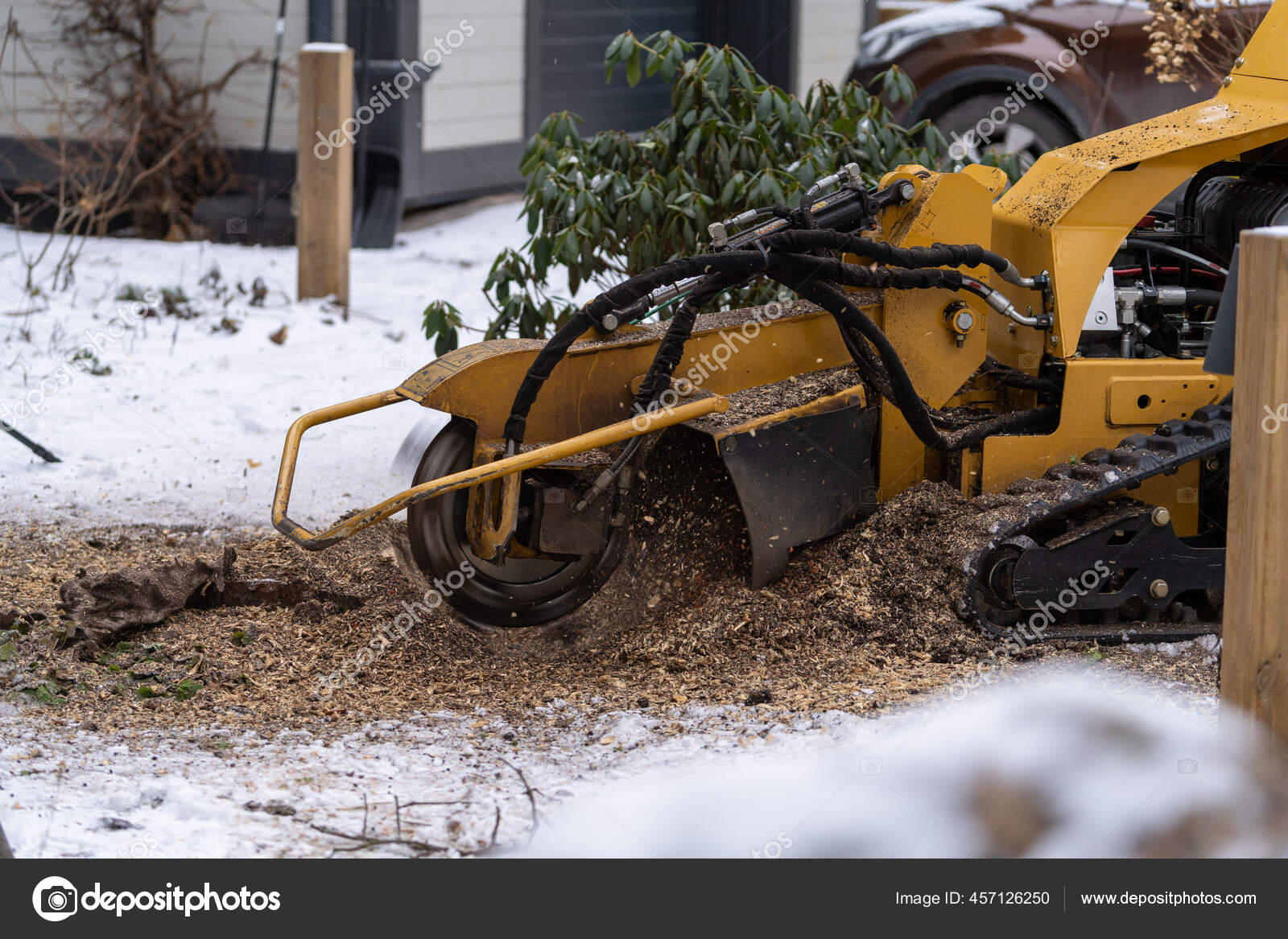 Stump Grinding View Right Cutting Disc Visible Close Proximity Grinding ...