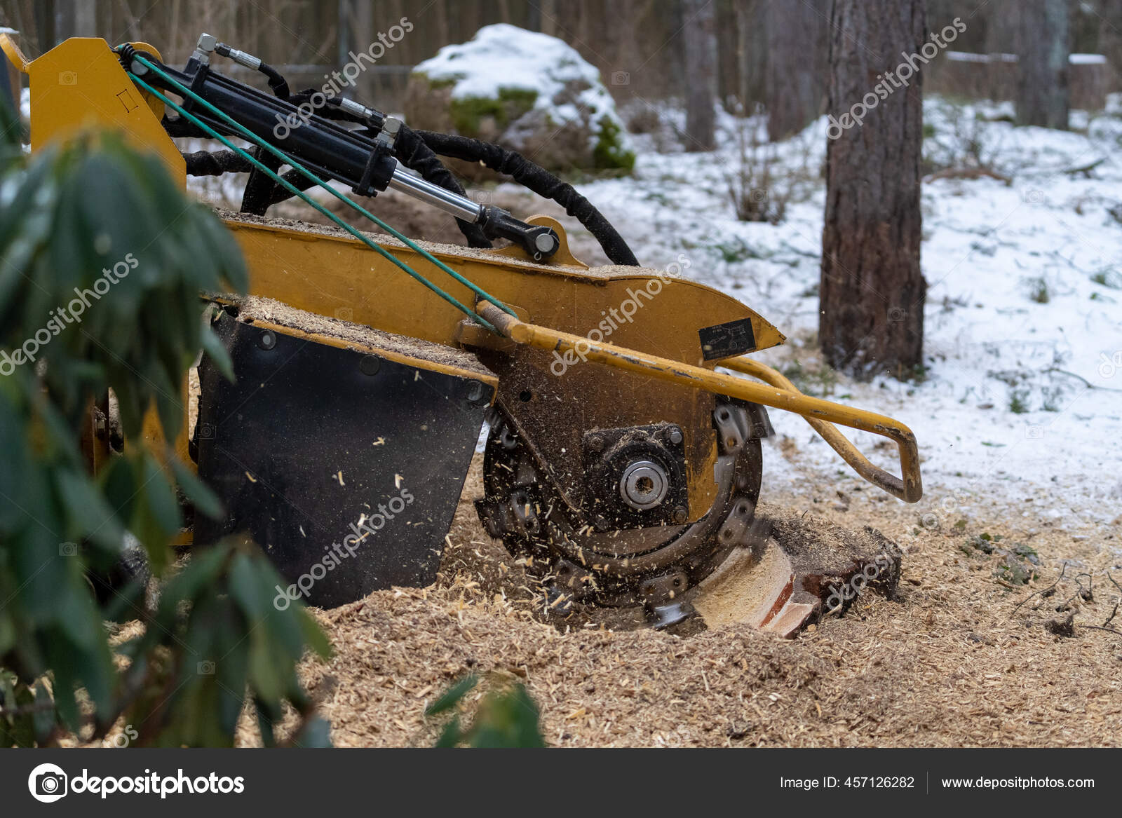 Stump Grinding View Right Cutting Disc Visible Close Proximity Grinding ...