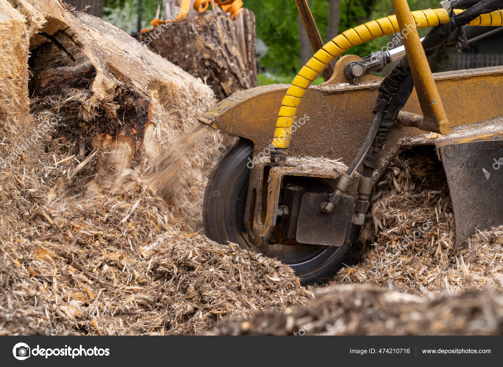 Close View Milling Head Stump Cutter Grinder Performs Strain Grinding ...